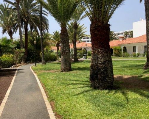 Official Sun Club - Sun Club Gran Canaria